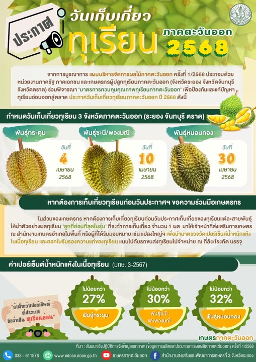 ล้งหยุดรับซื้อทุเรียนทั้งหมด เพราะ LAB ตรวจรับรองสาร Basic Yellow หรือ BY2 ในทุเรียนสด ปิด!